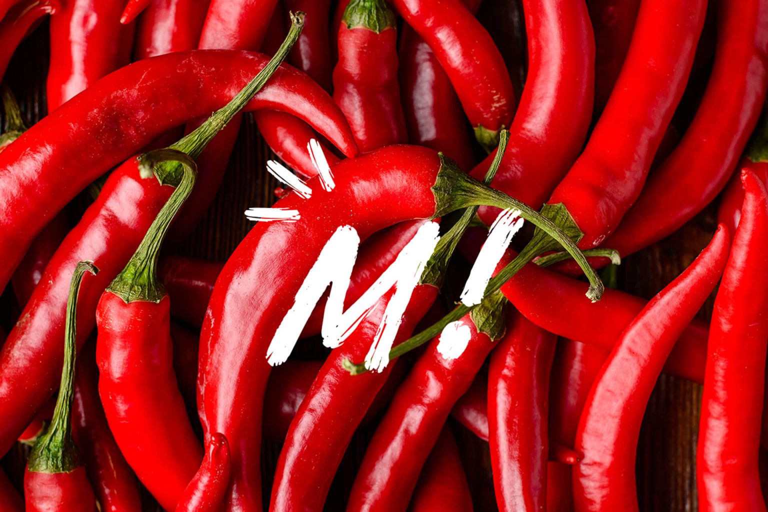 Maldita: A sauce branding - Mariana Ponte