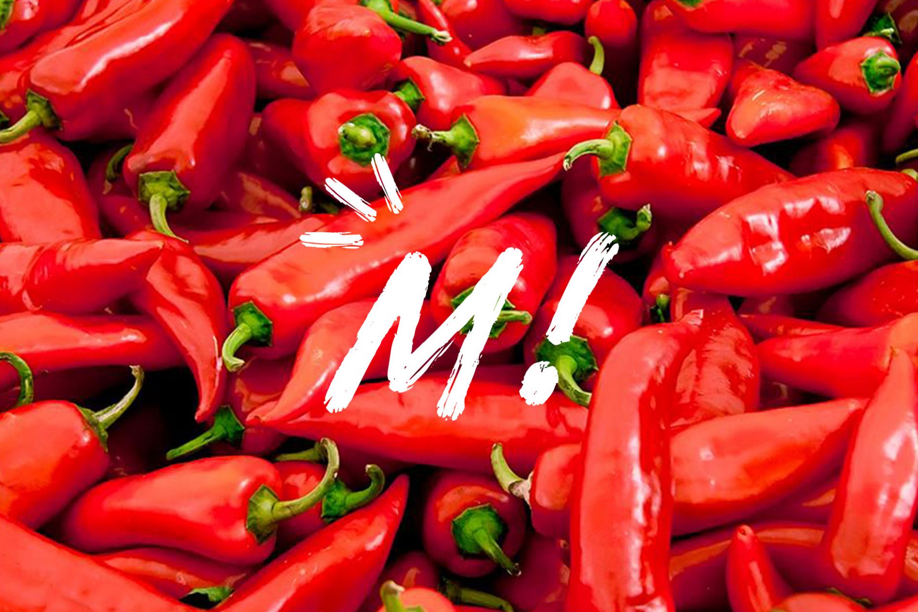 Maldita: A sauce branding - Mariana Ponte